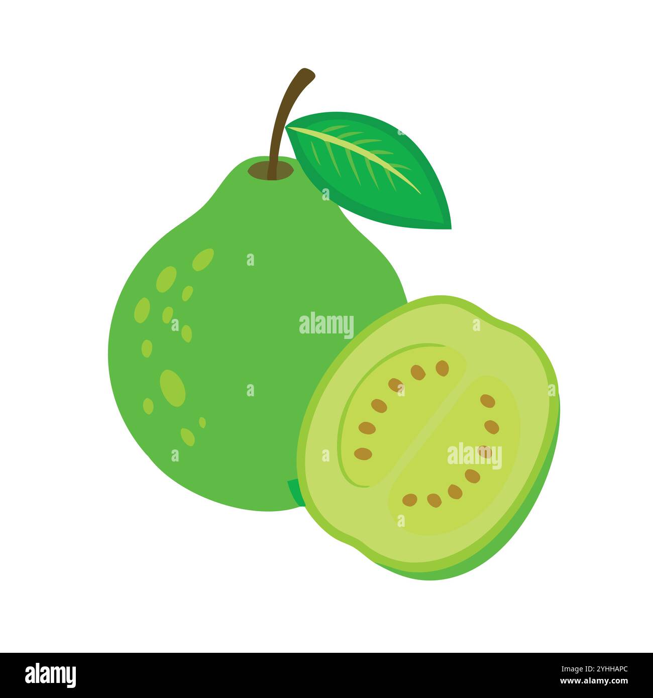 simple vector illustration of a guava, in a simple and clean style ...