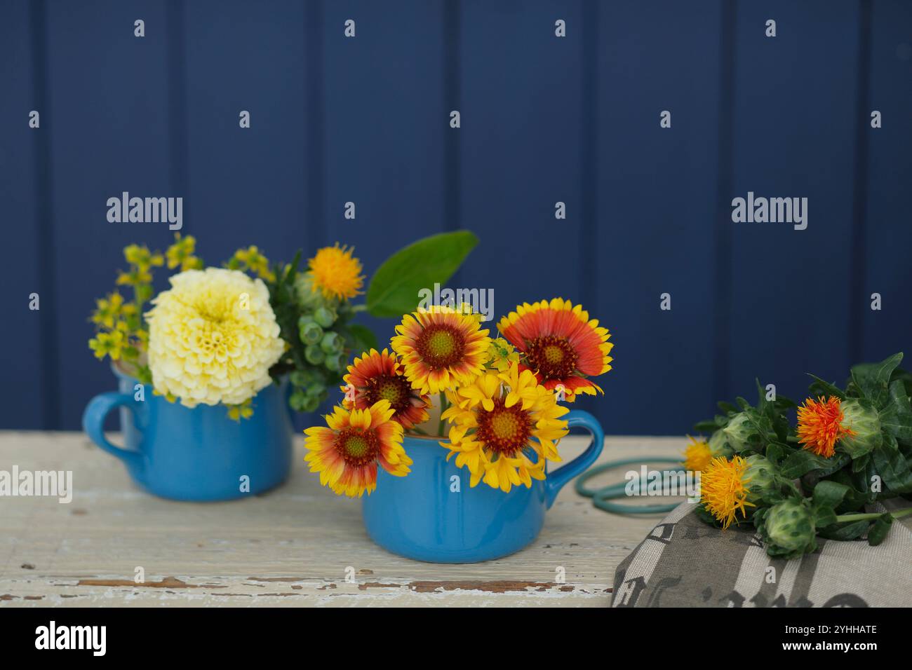Flowers in blue cups Stock Photo - Alamy