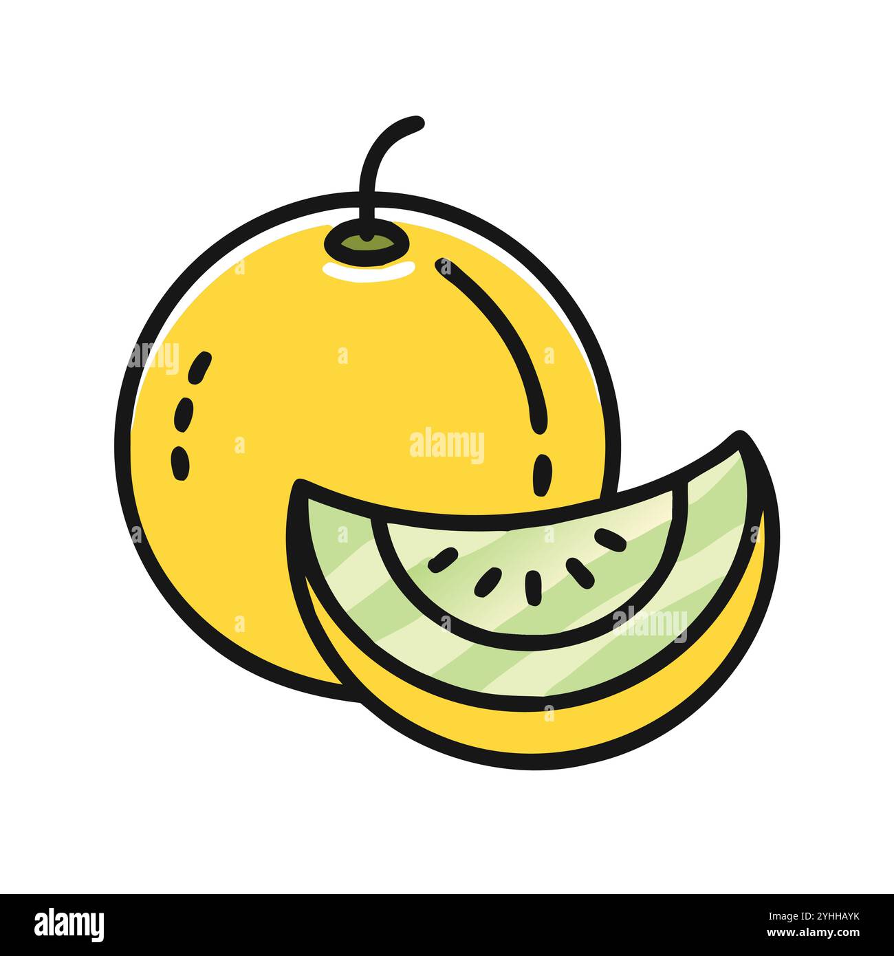 simple vector illustration of a honeydew melon, in a simple and clean style, suitable for food ...