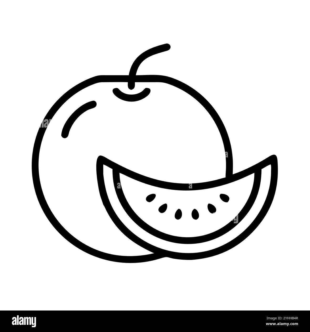 simple vector illustration of a honeydew melon, in a simple and clean style, suitable for food ...