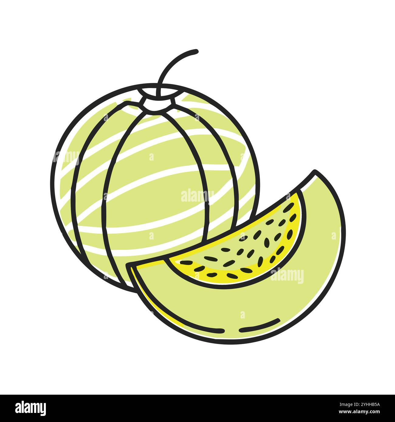 simple vector illustration of a honeydew melon, in a simple and clean style, suitable for food ...