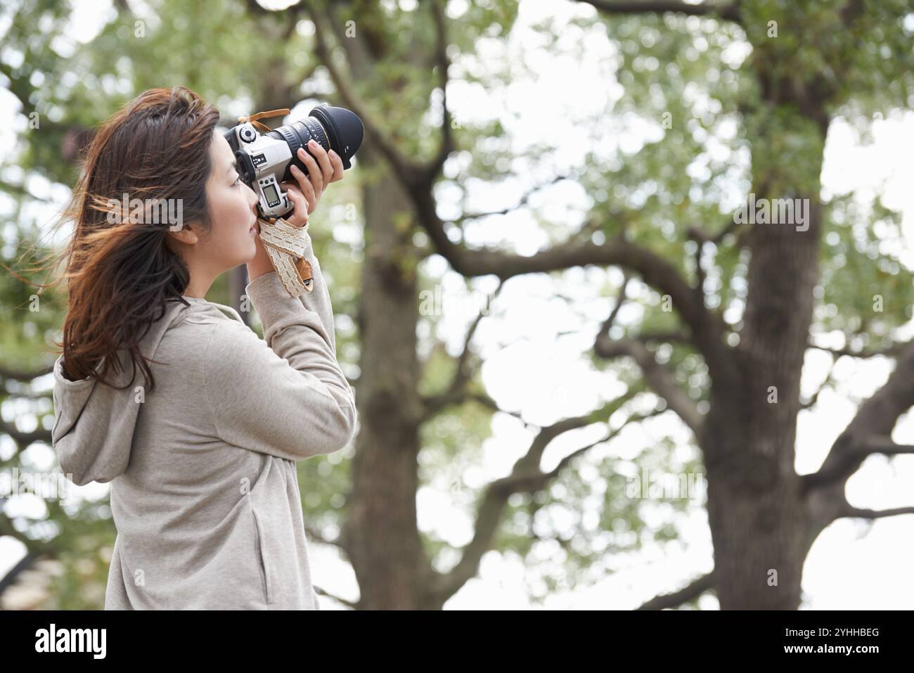 Woman taking a photograph with a single-lens reflex camera Stock Photo ...