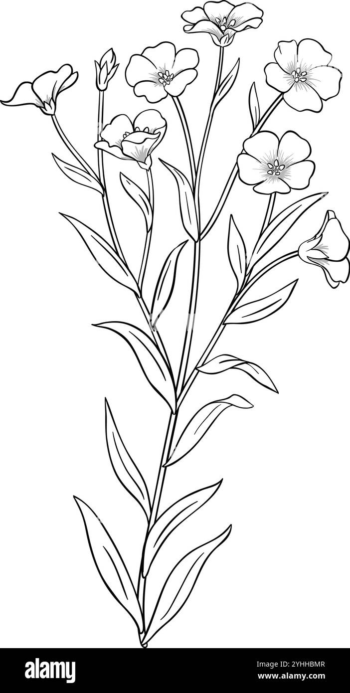 Flax Plant with Flowers Outline Illustration Stock Vector Image & Art ...