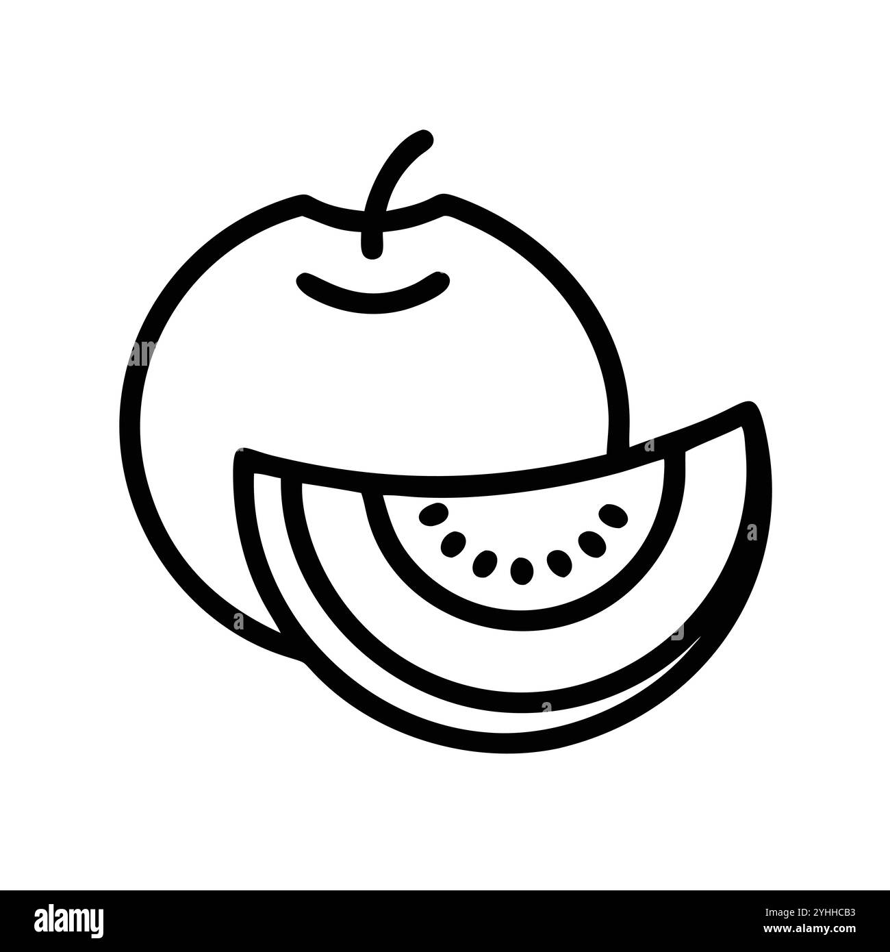 simple vector illustration of a honeydew melon, in a simple and clean style, suitable for food ...