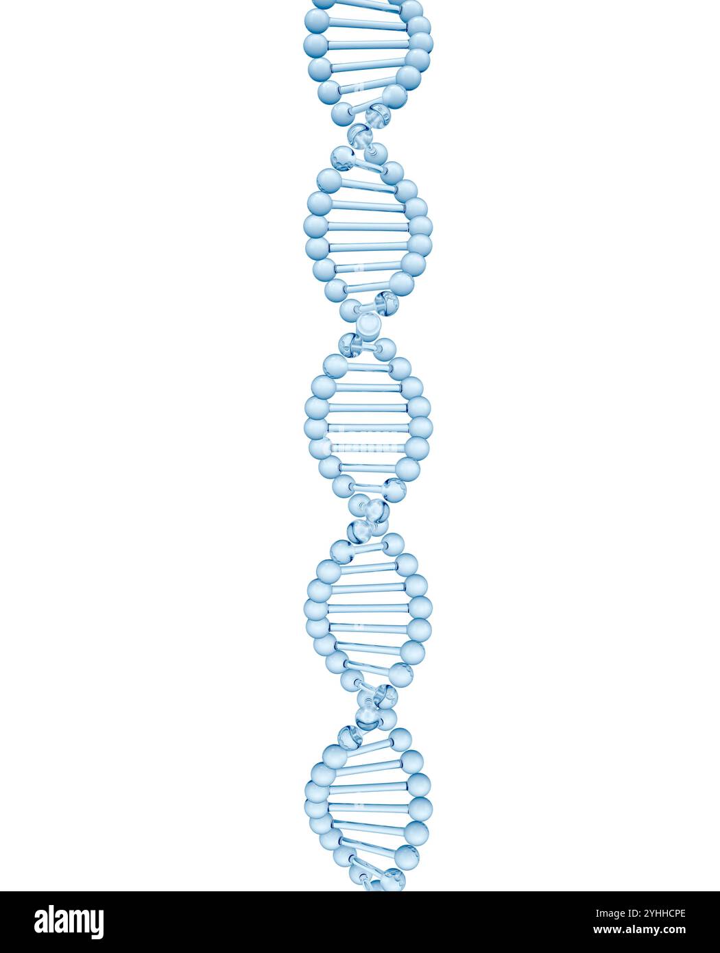 Double helix structure of the dna molecule hi-res stock photography and ...
