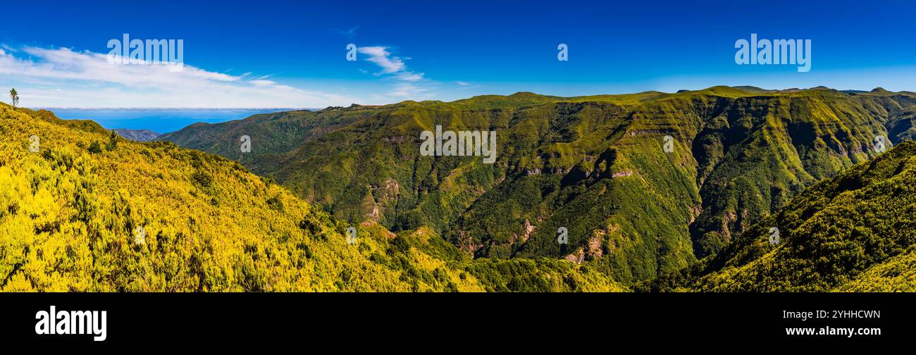 Panorama over the valley at Rabacal, Madeira, Portugal Stock Photo - Alamy