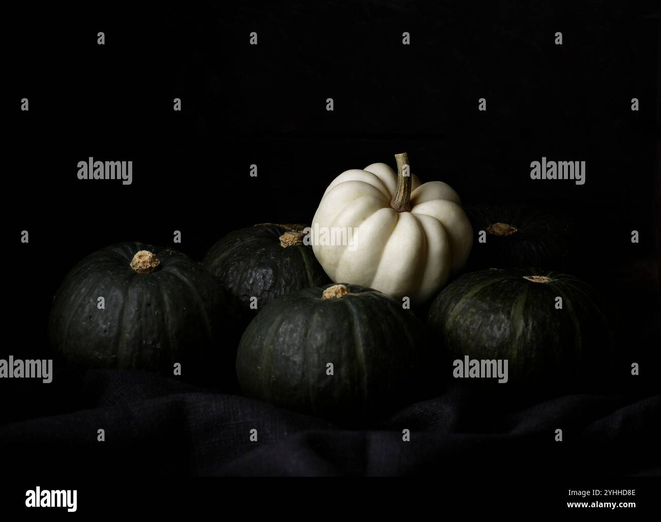 Pumpkin still life Stock Photo - Alamy