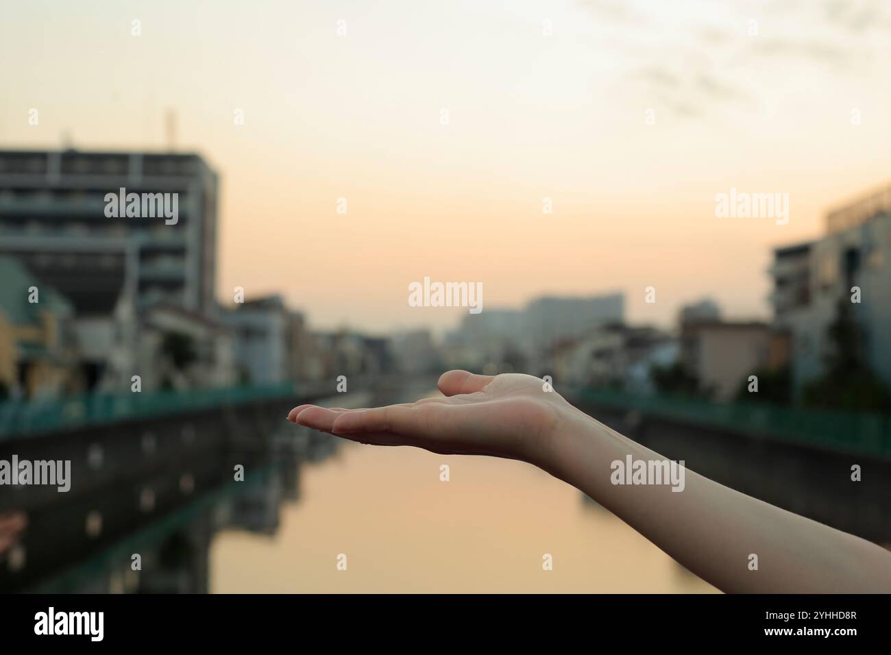 Womans wrist and hand hi-res stock photography and images - Alamy