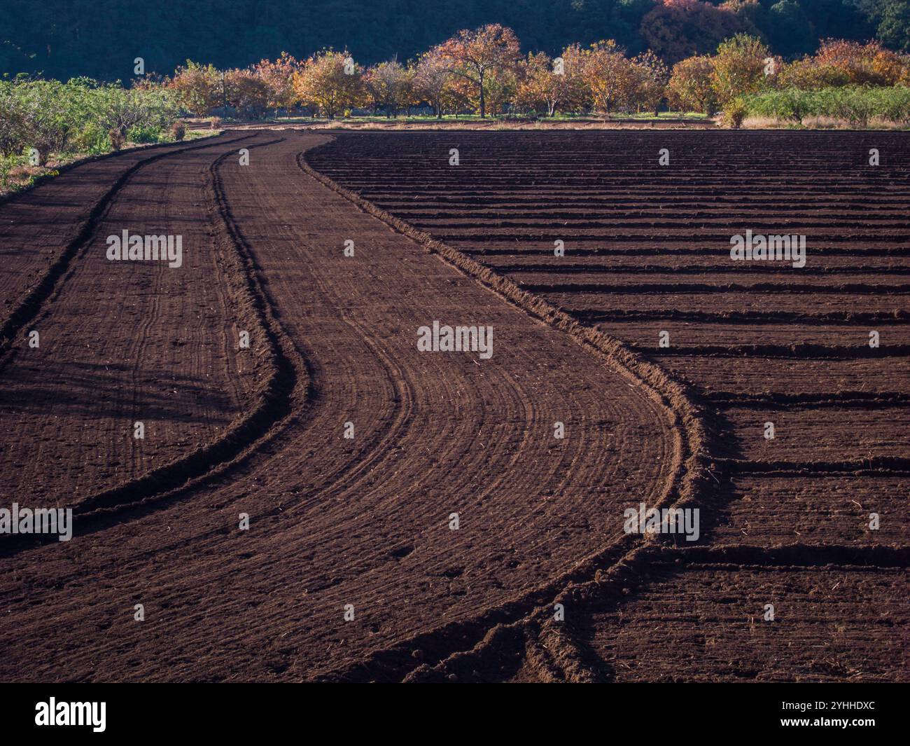 Prepared farmland before planting Stock Photo - Alamy