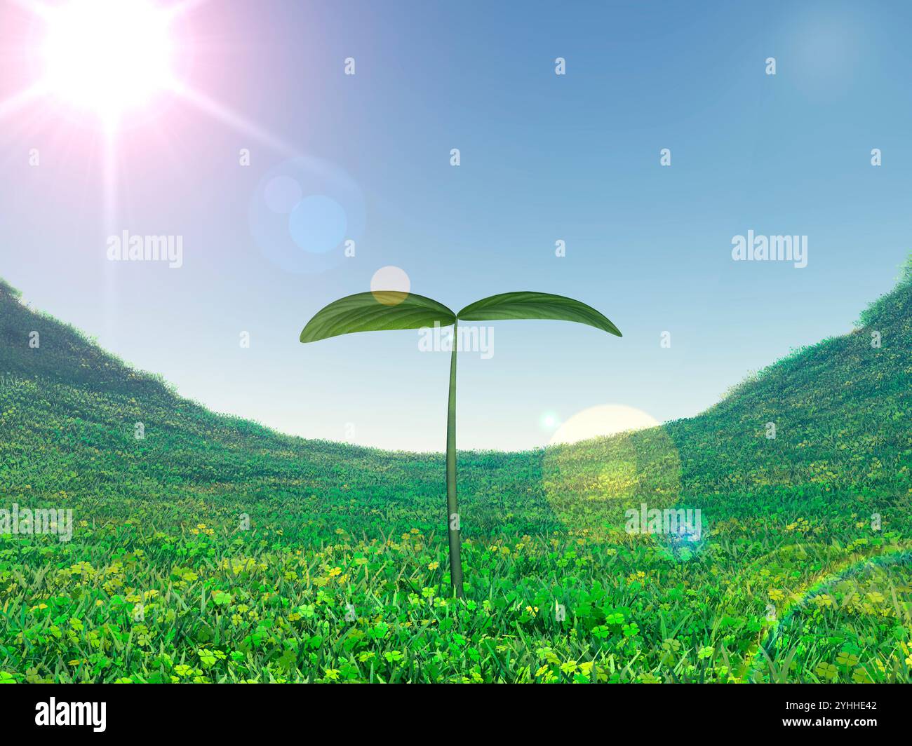 Backlit sprout hi-res stock photography and images - Alamy
