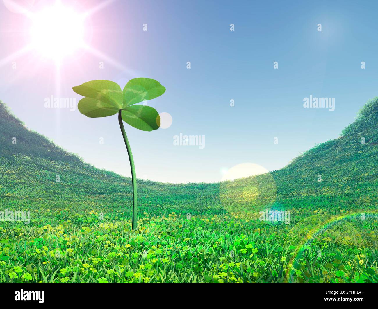 Giant four-leaf clover in backlit meadow Stock Photo - Alamy
