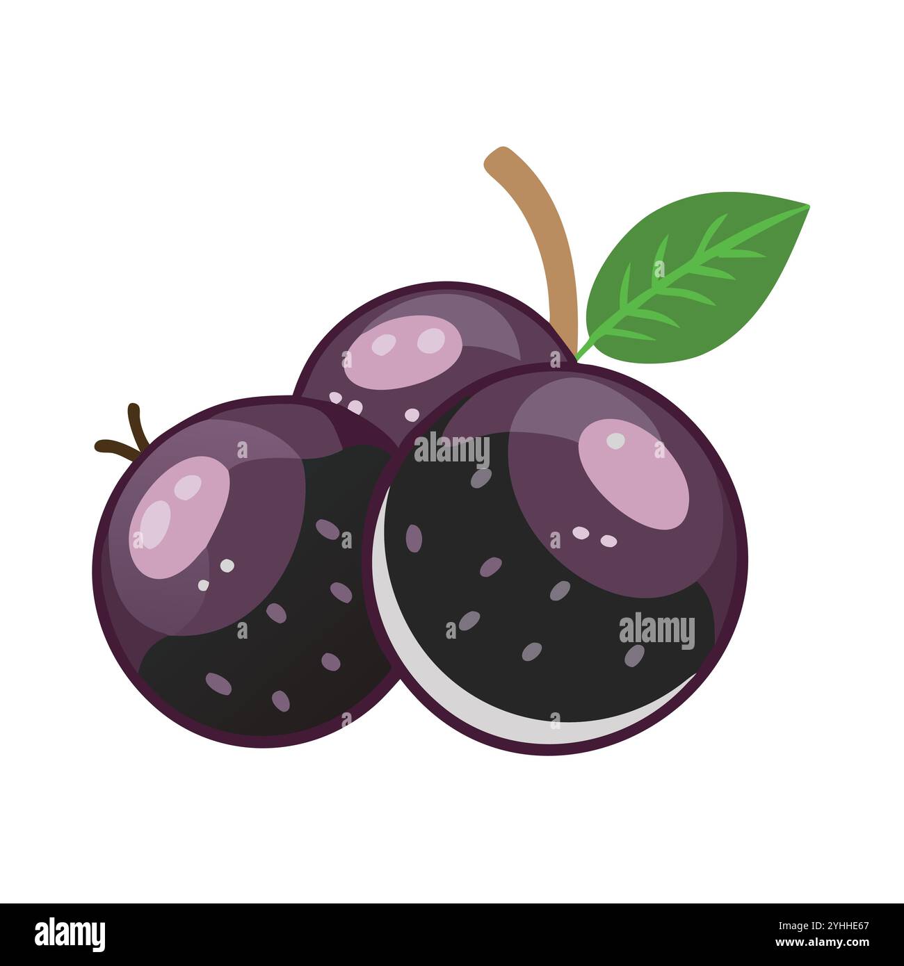 simple vector illustration of a jabuticaba, in a simple and clean style ...