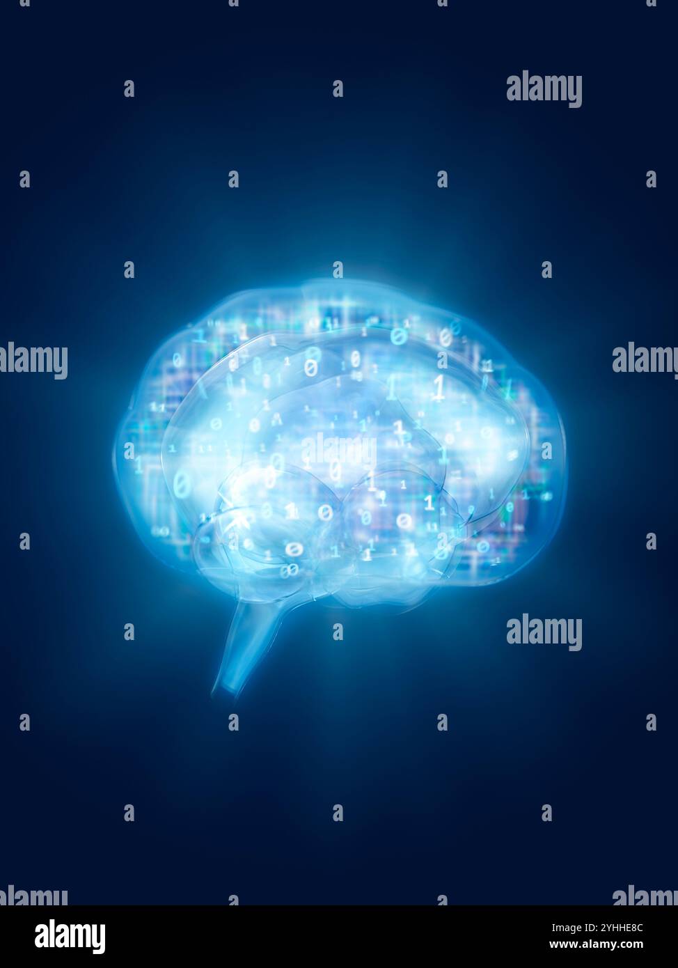 Brain containing circuits and numbers Stock Photo - Alamy