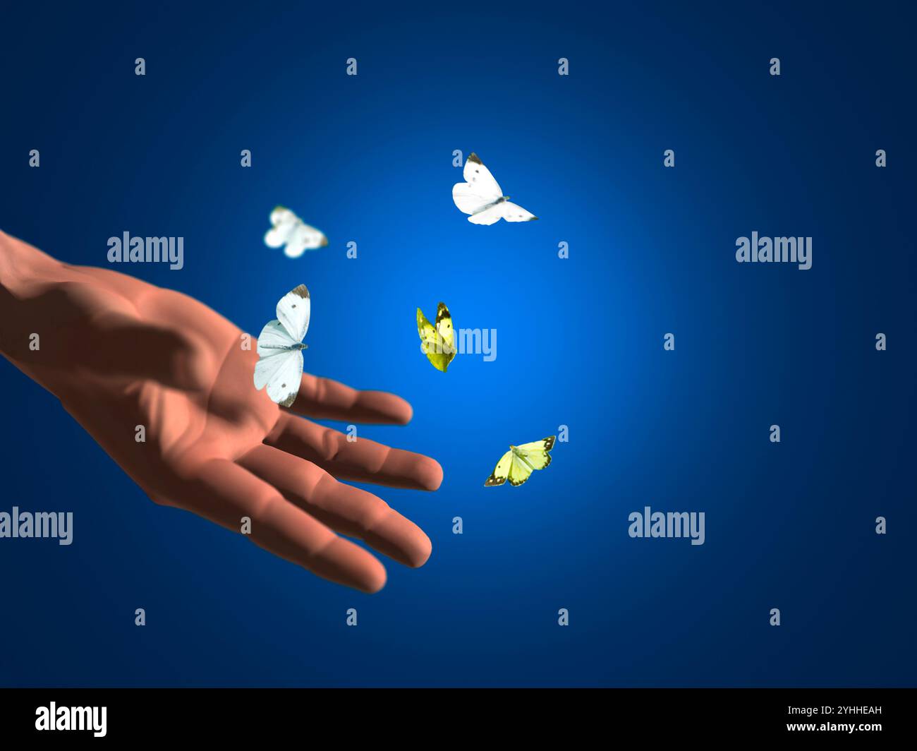 Fluttering insect hi-res stock photography and images - Alamy