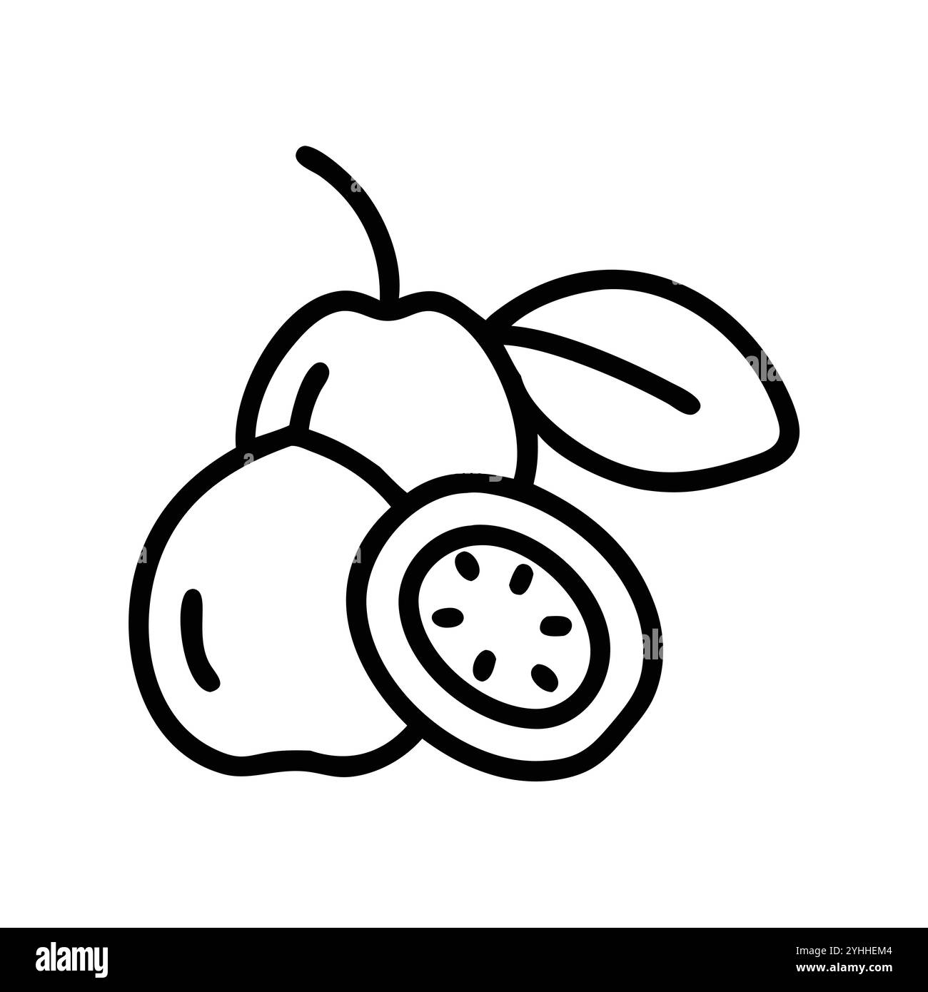 simple vector illustration of a jujube, in a simple and clean style ...