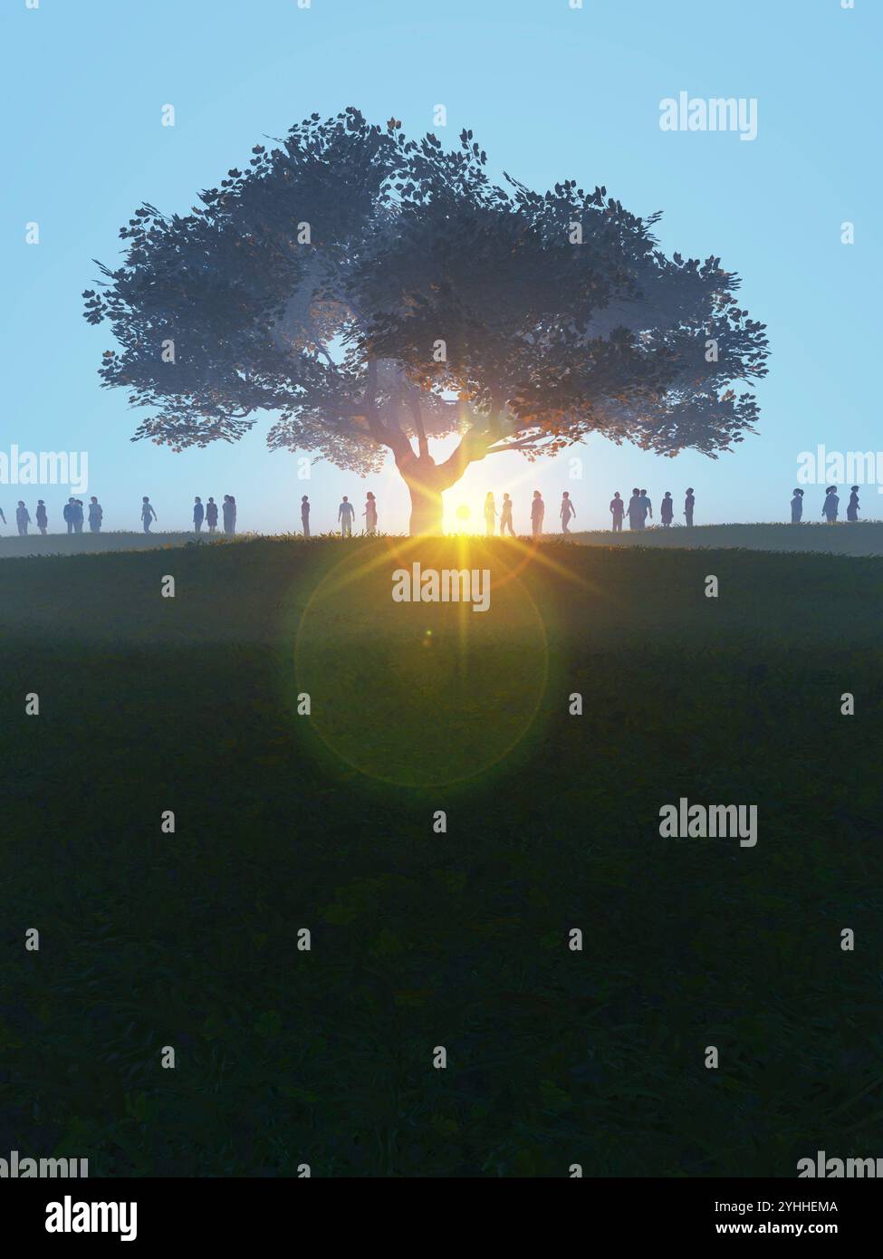 Backlight and crowd shining on a single large tree standing on a hill ...