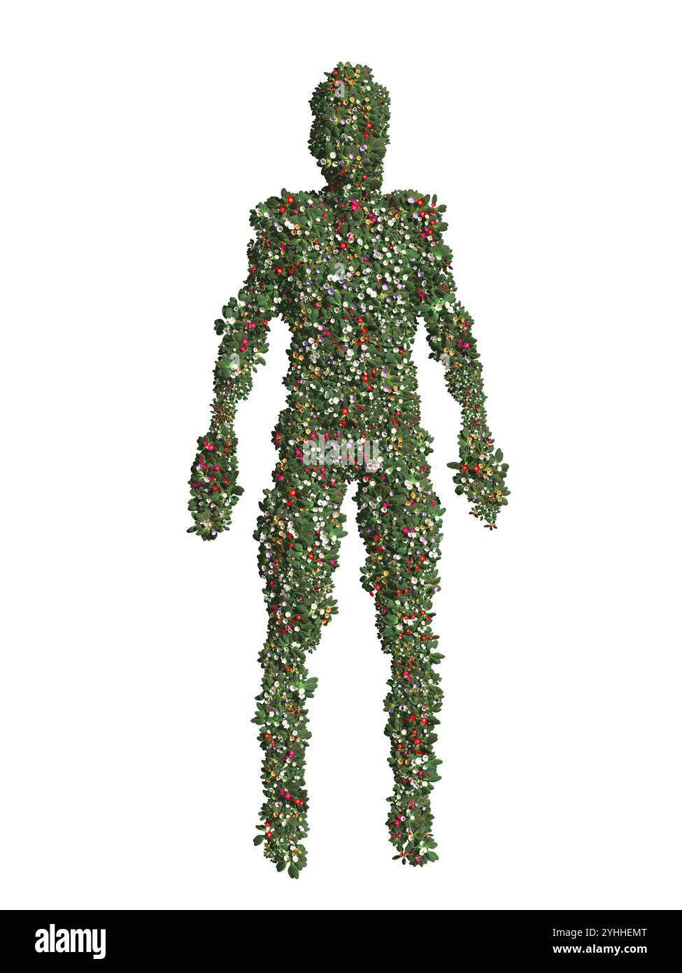 Ornamental flower illustrations hi-res stock photography and images - Alamy