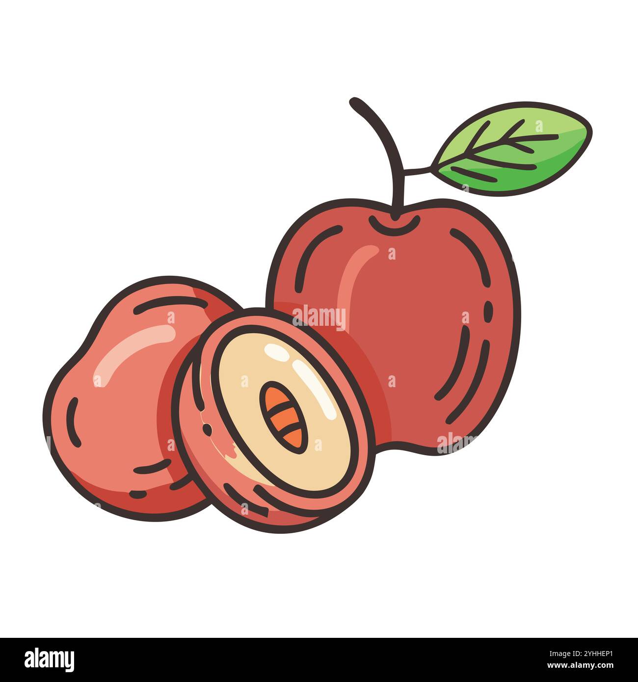 simple vector illustration of a jujube, in a simple and clean style ...