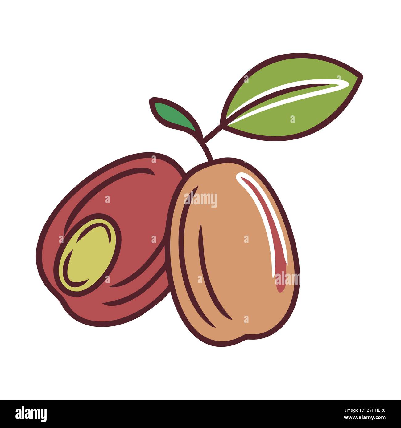 simple vector illustration of a jujube, in a simple and clean style ...