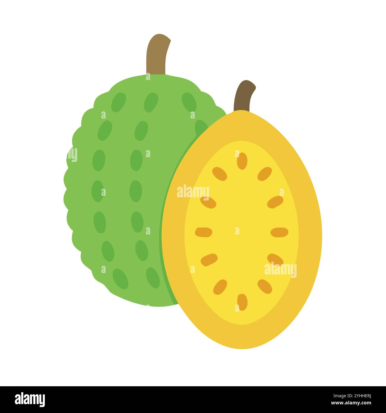 simple vector illustration of a jackfruit, in a simple and clean style ...