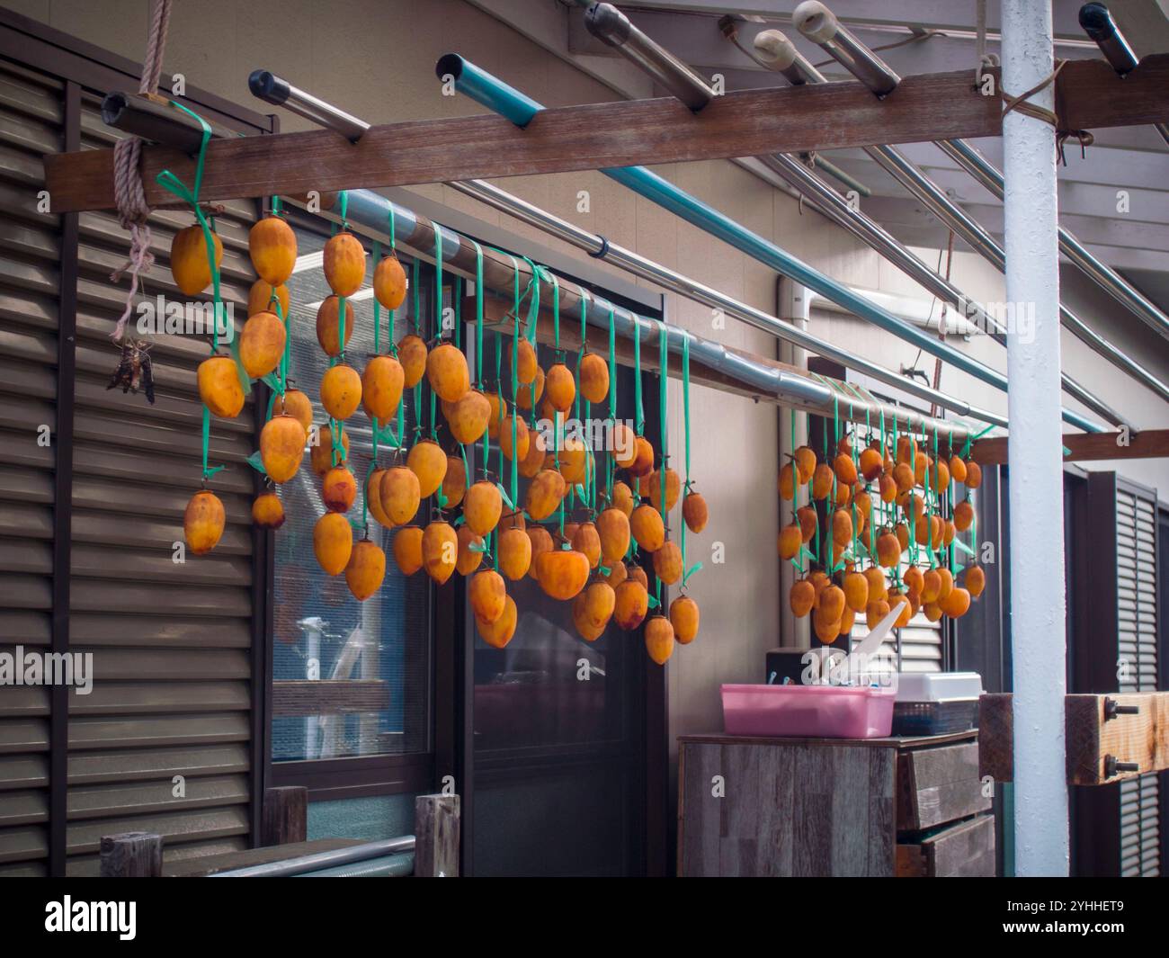 Dried persimmons at the eaves Stock Photo - Alamy