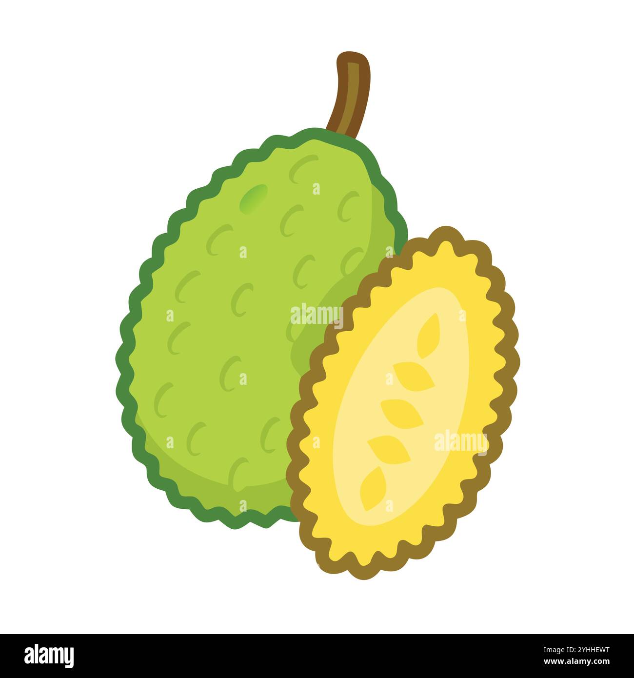 simple vector illustration of a jackfruit, in a simple and clean style ...