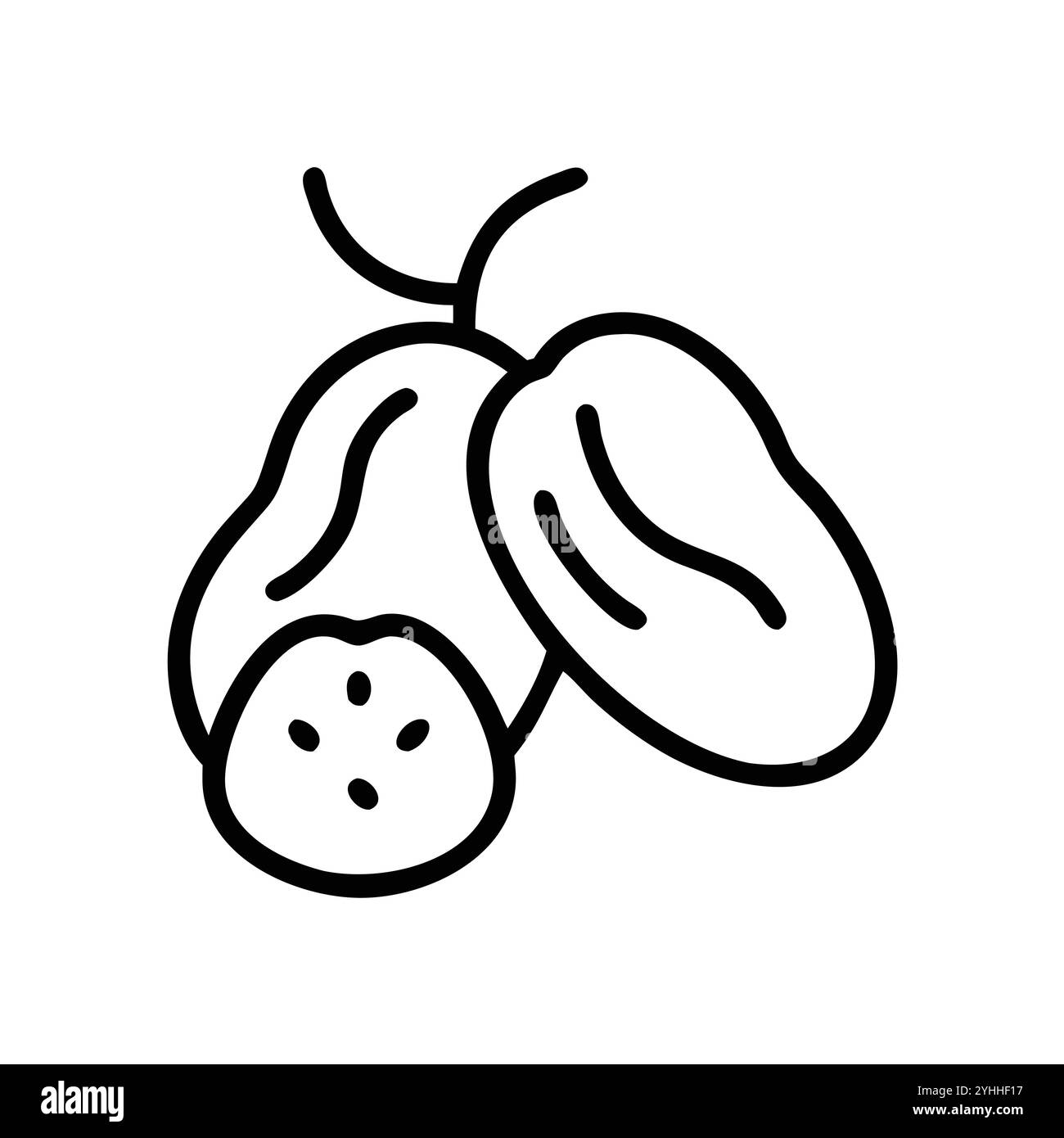 simple vector illustration of a jujube, in a simple and clean style ...