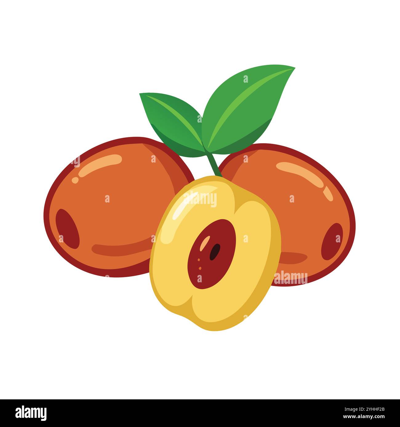 simple vector illustration of a jujube, in a simple and clean style ...