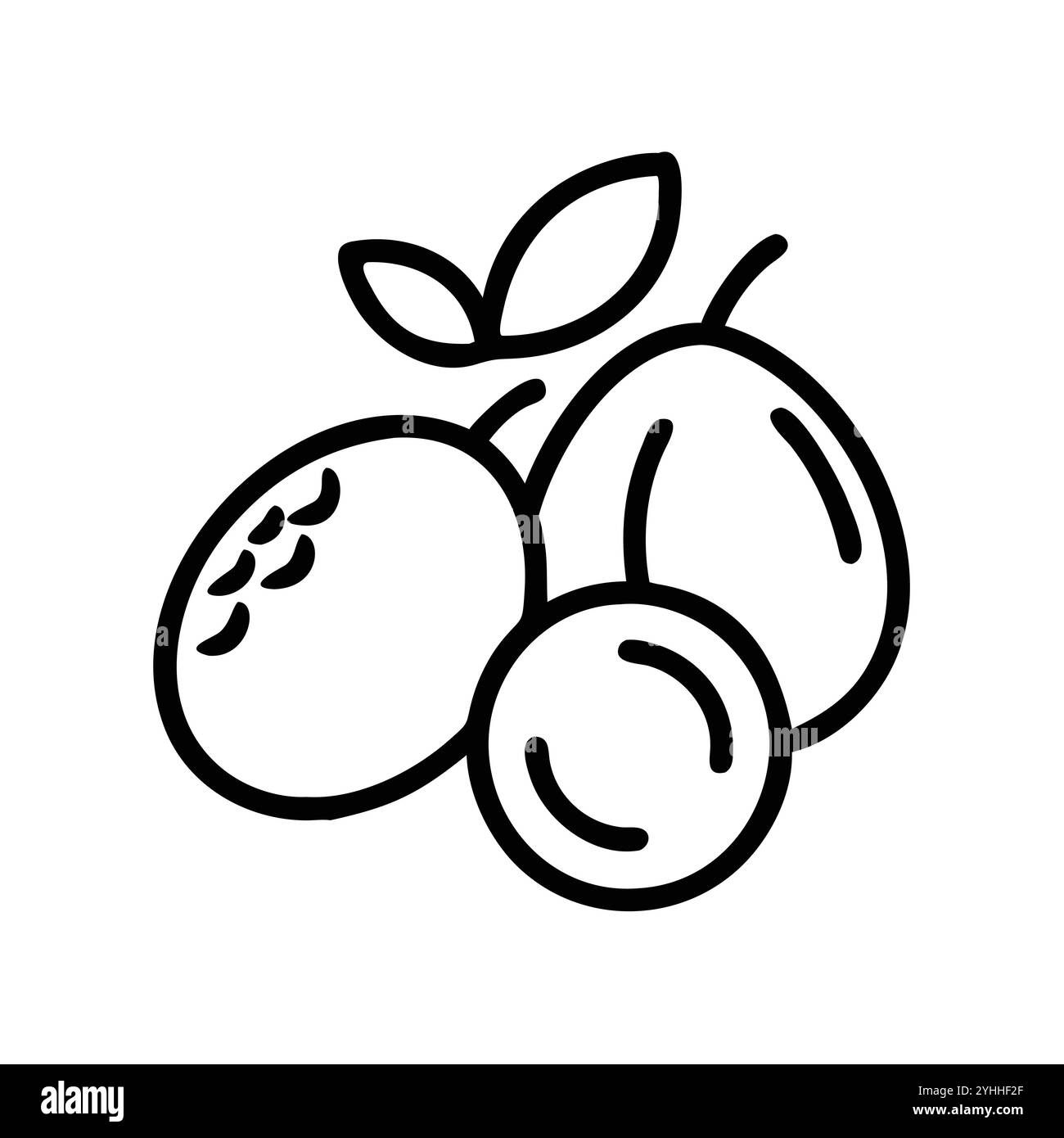 simple vector illustration of a jujube, in a simple and clean style ...