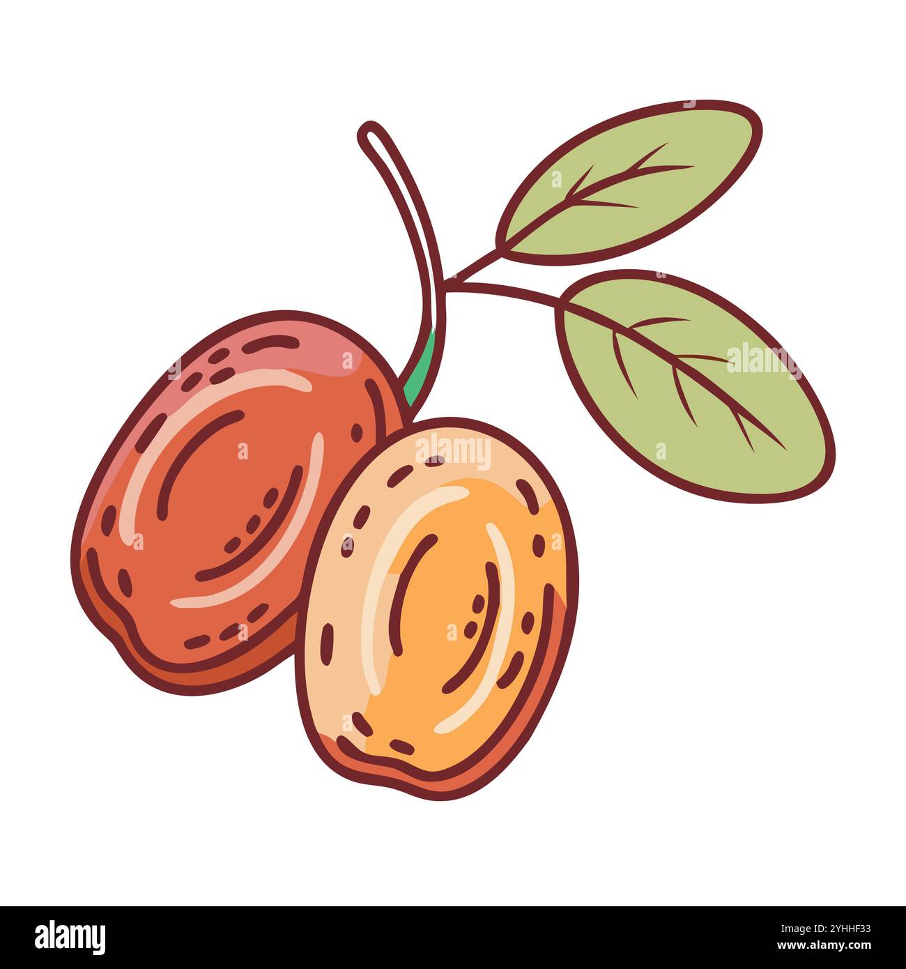 simple vector illustration of a jujube, in a simple and clean style ...