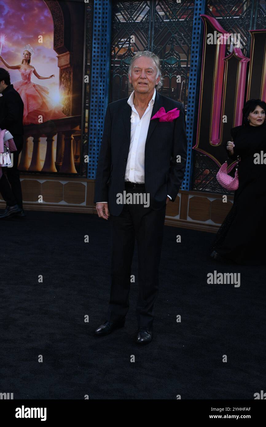 Los Angeles, California, USA 9th November 2024 Andy Nelson attends The ...