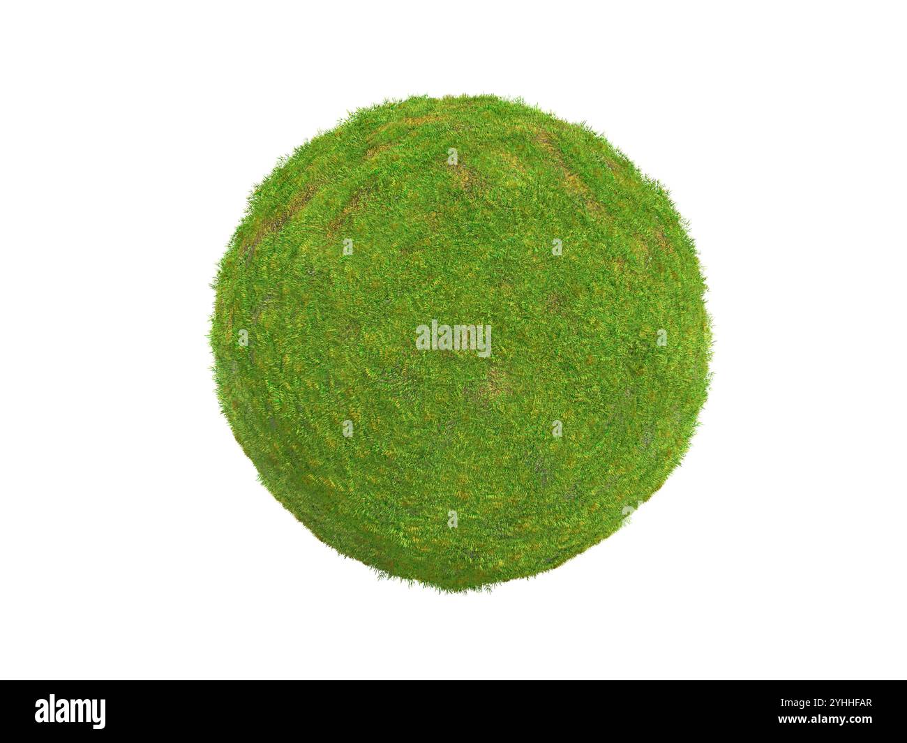 Turf vegetation Cut Out Stock Images & Pictures - Alamy