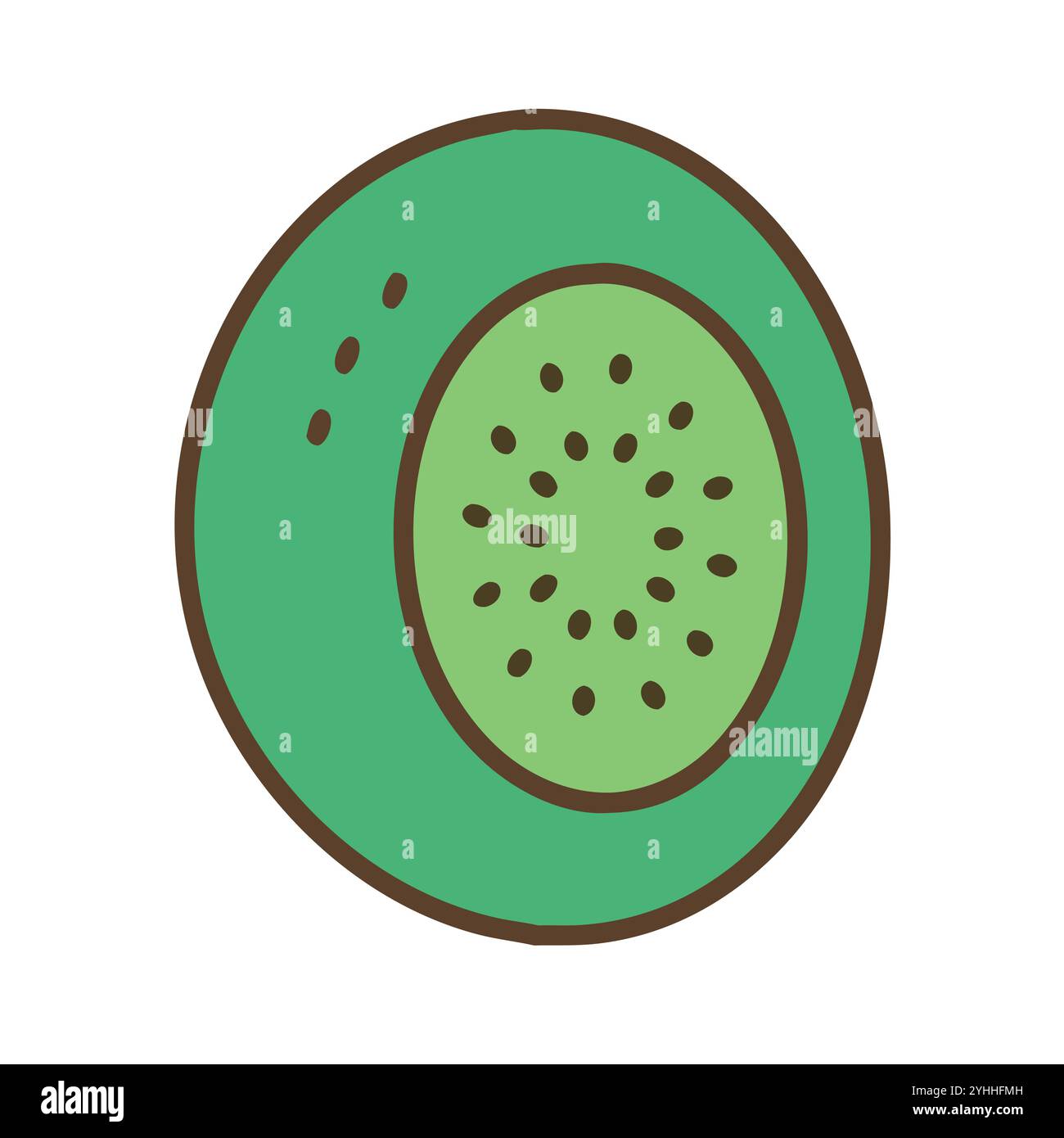 simple vector illustration of a kiwi, in a simple and clean style ...