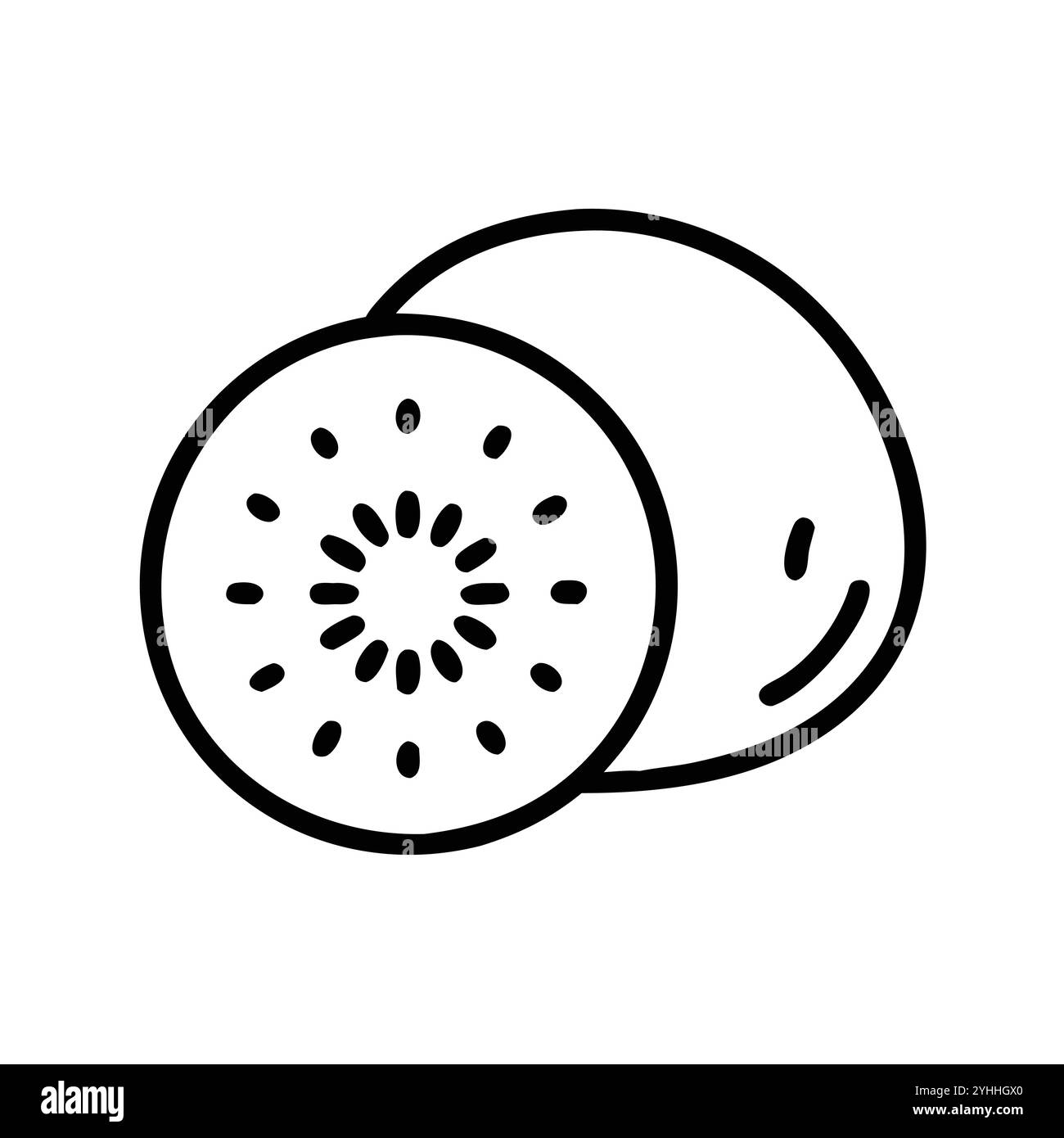 simple vector illustration of a kiwi, in a simple and clean style ...