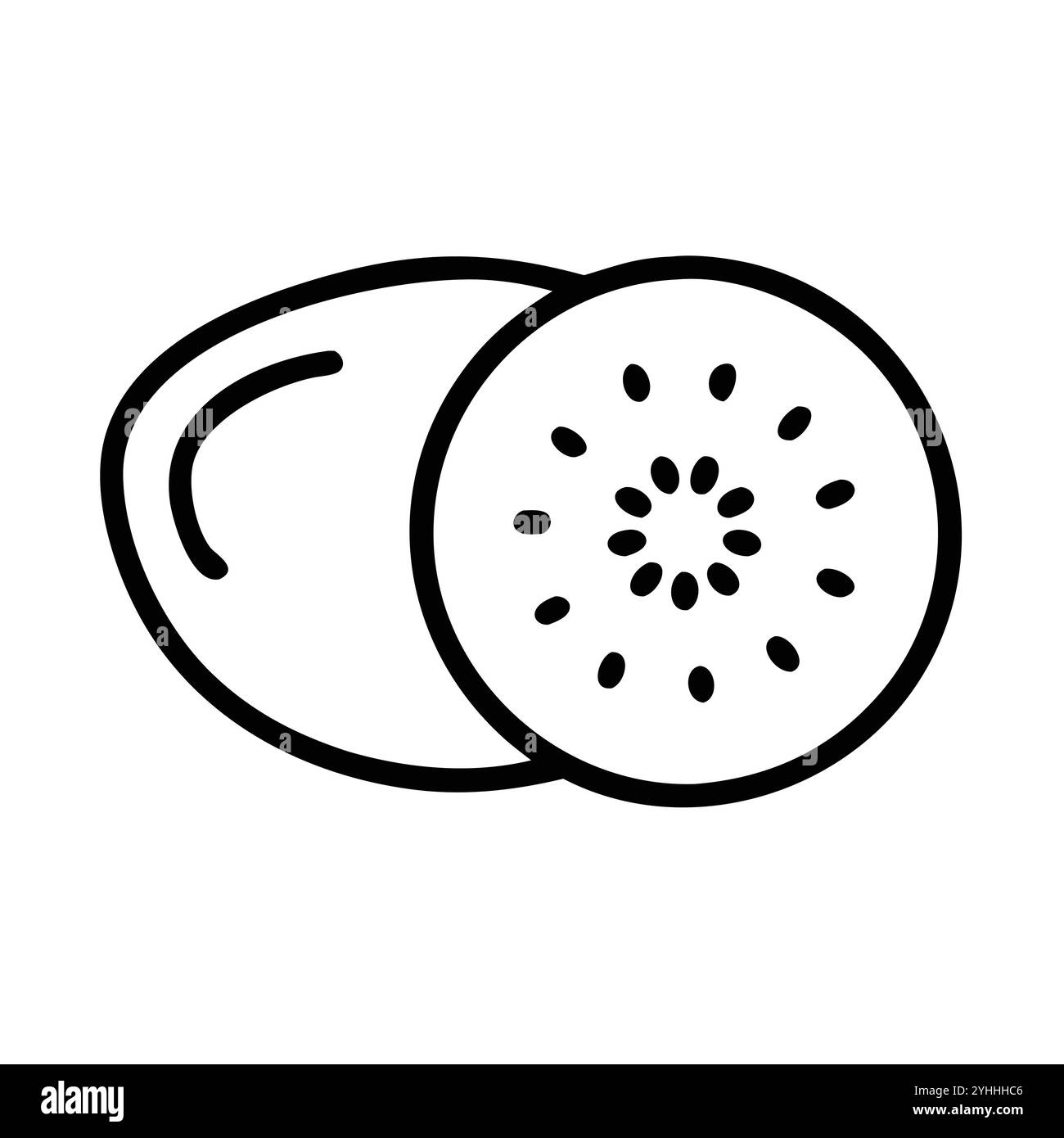 simple vector illustration of a kiwi, in a simple and clean style ...