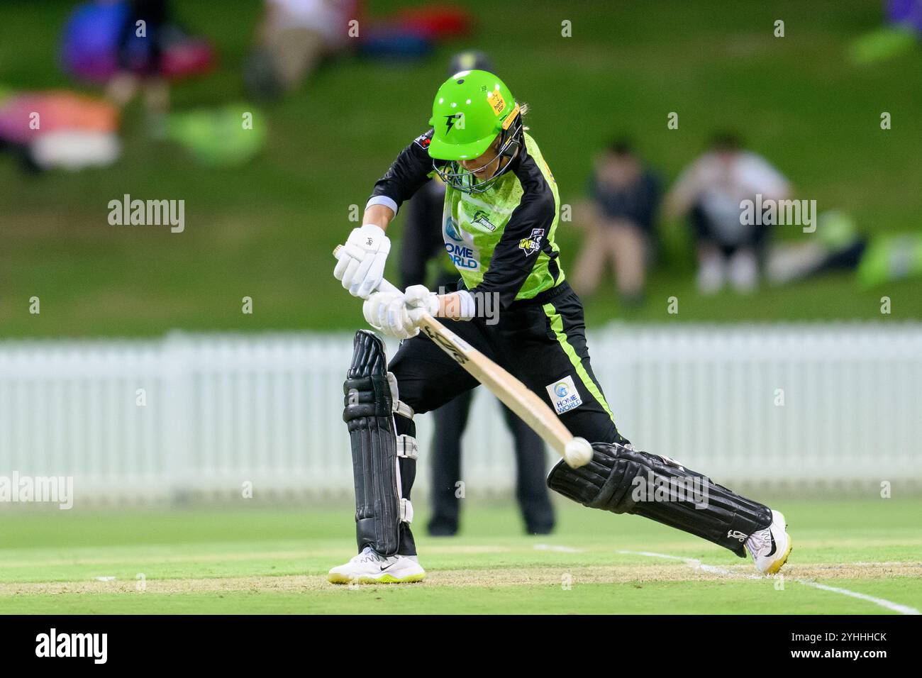Sydney, Australia. 12th Nov, 2024. Phoebe Litchfield of the Thunder ...