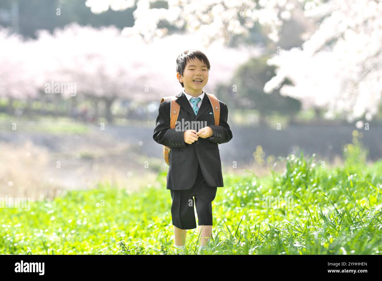 First blossom hi-res stock photography and images - Alamy