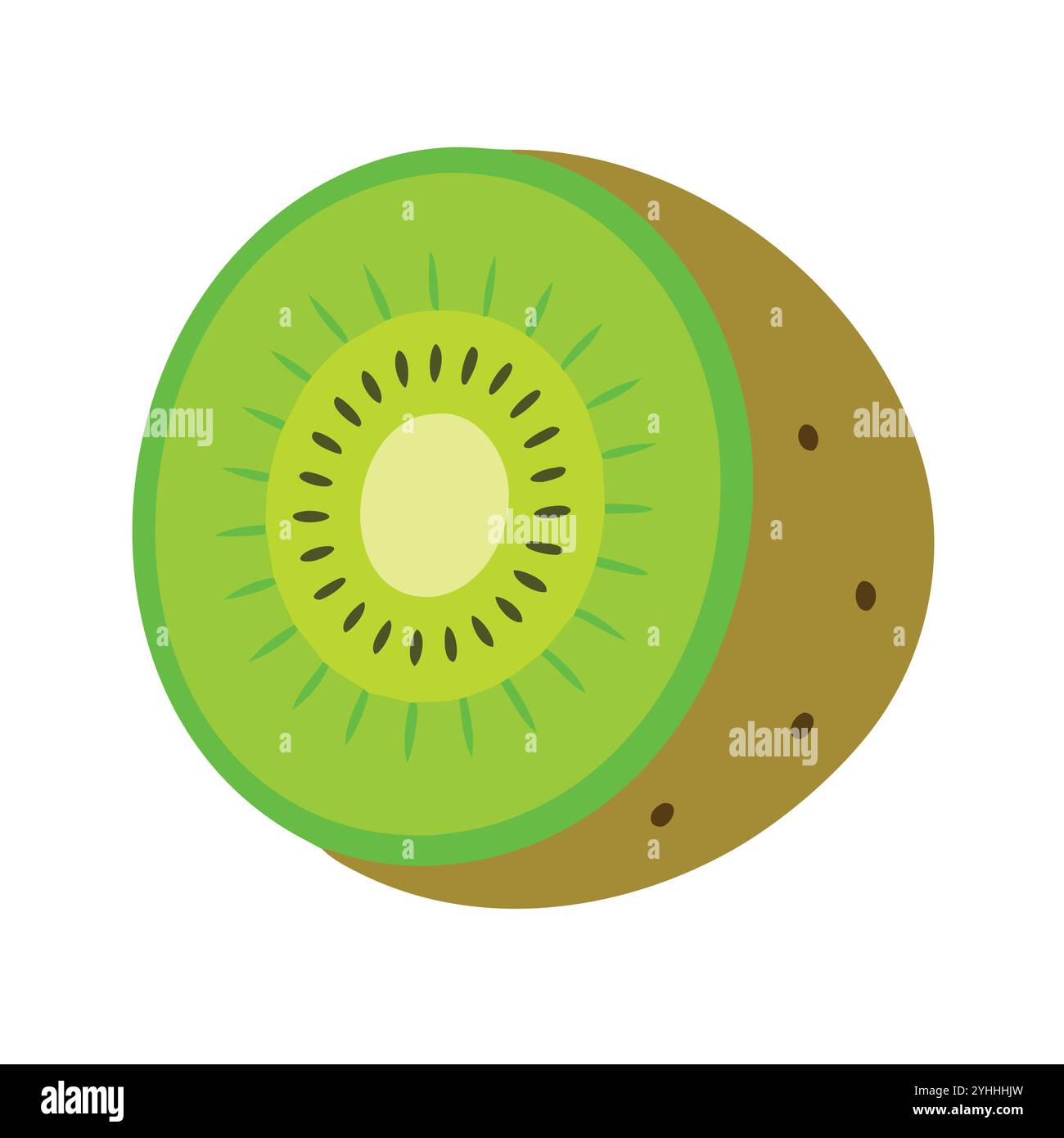 simple vector illustration of a kiwi, in a simple and clean style ...