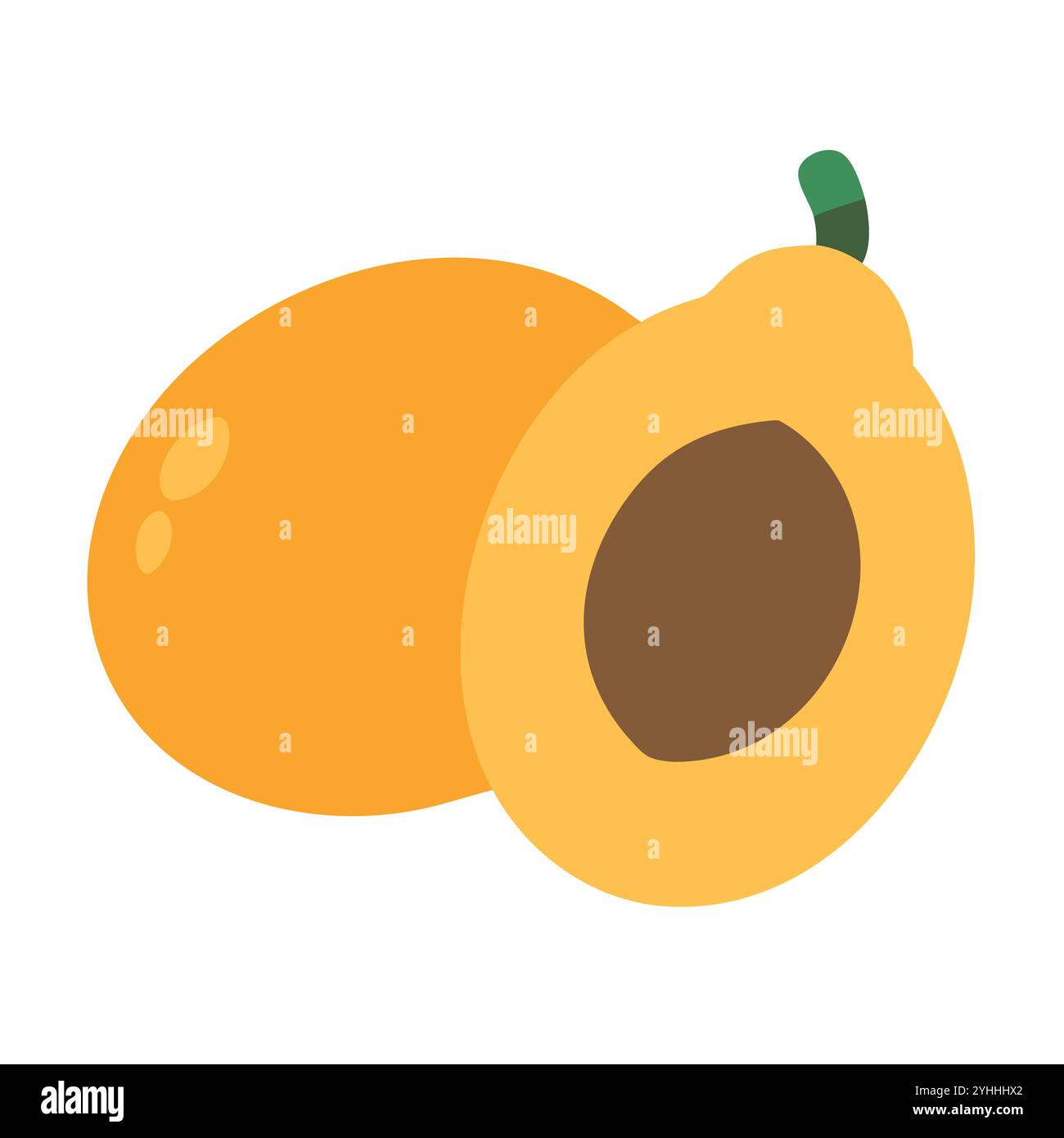 simple vector illustration of a loquat, in a simple and clean style ...