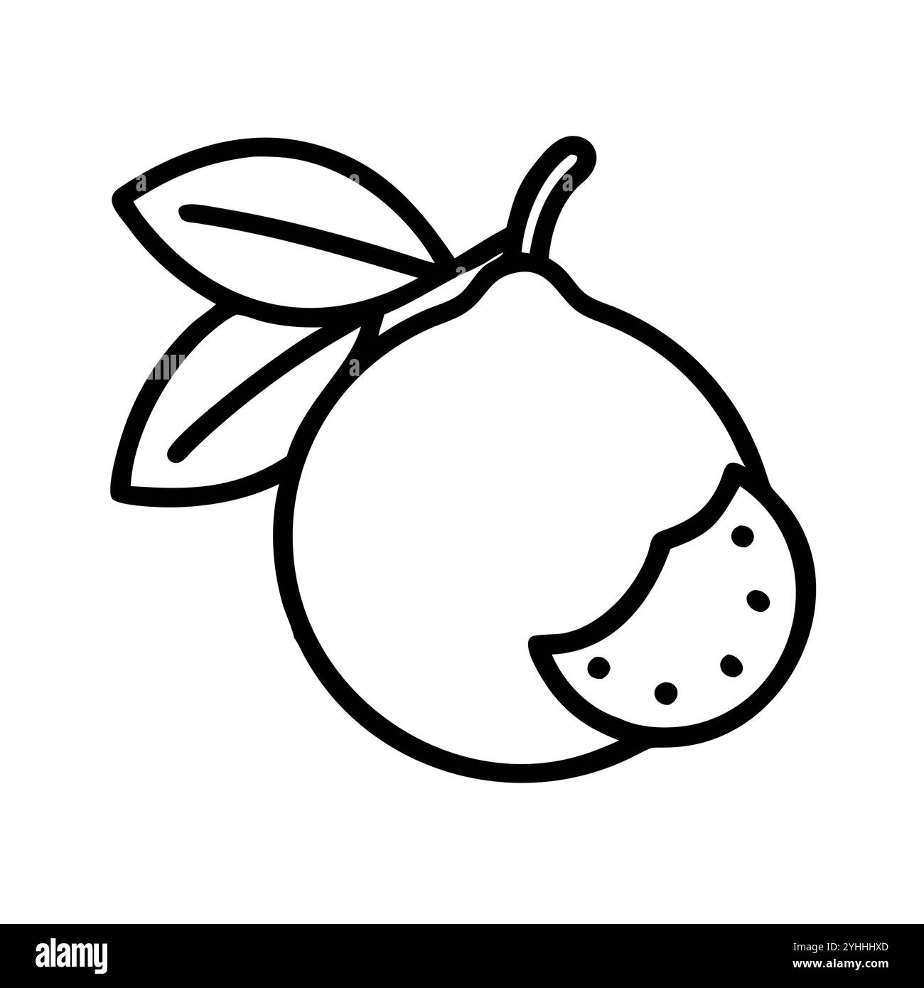 simple vector illustration of a lime, in a simple and clean style ...