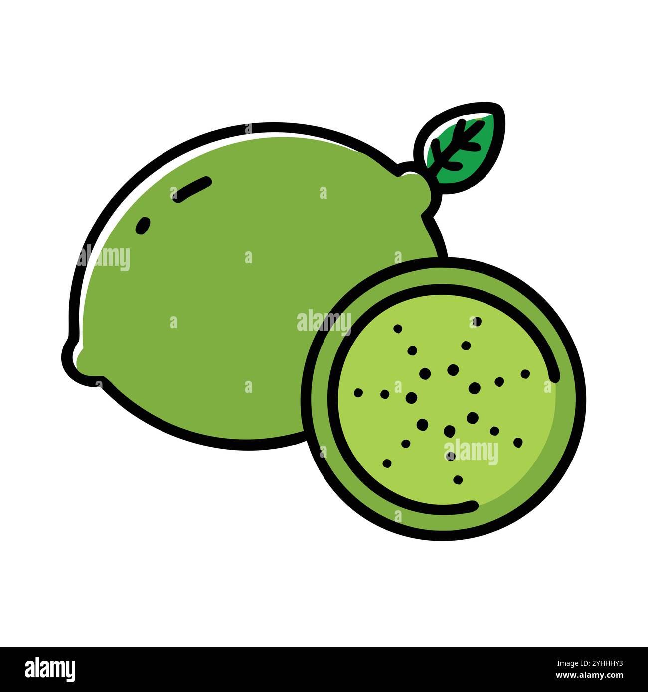 simple vector illustration of a lime, in a simple and clean style ...