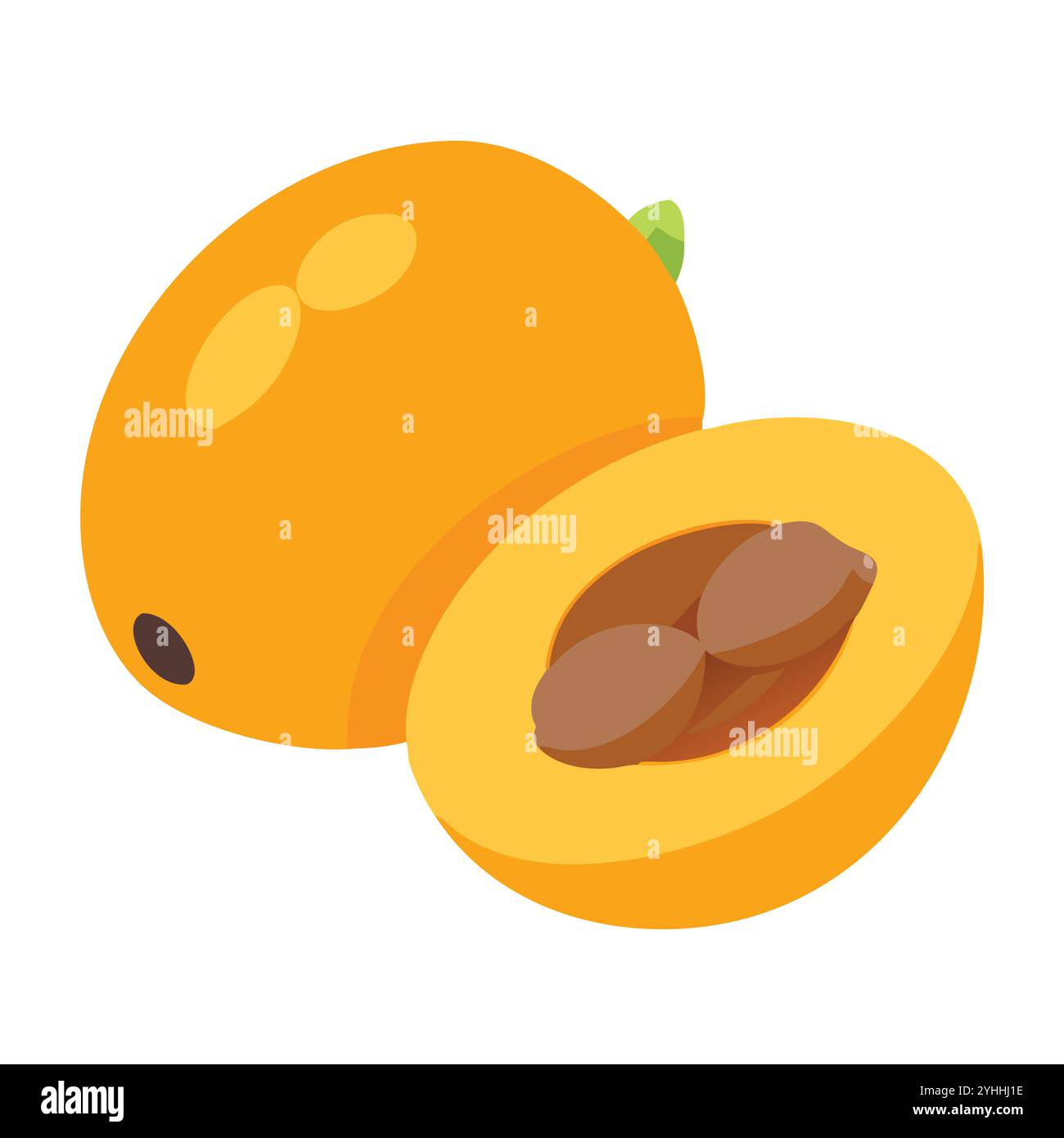 simple vector illustration of a loquat, in a simple and clean style ...