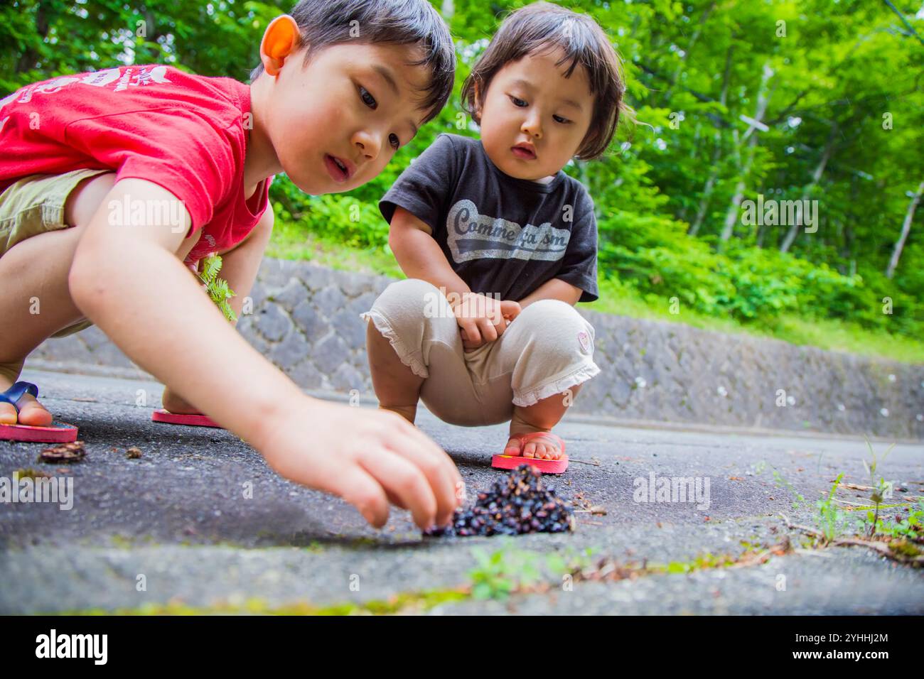 Brother and sister touching a roadside insect nest Stock Photo - Alamy