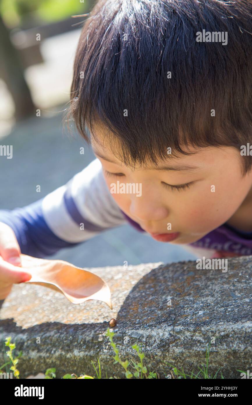 Boy catching insects with leaves Stock Photo - Alamy