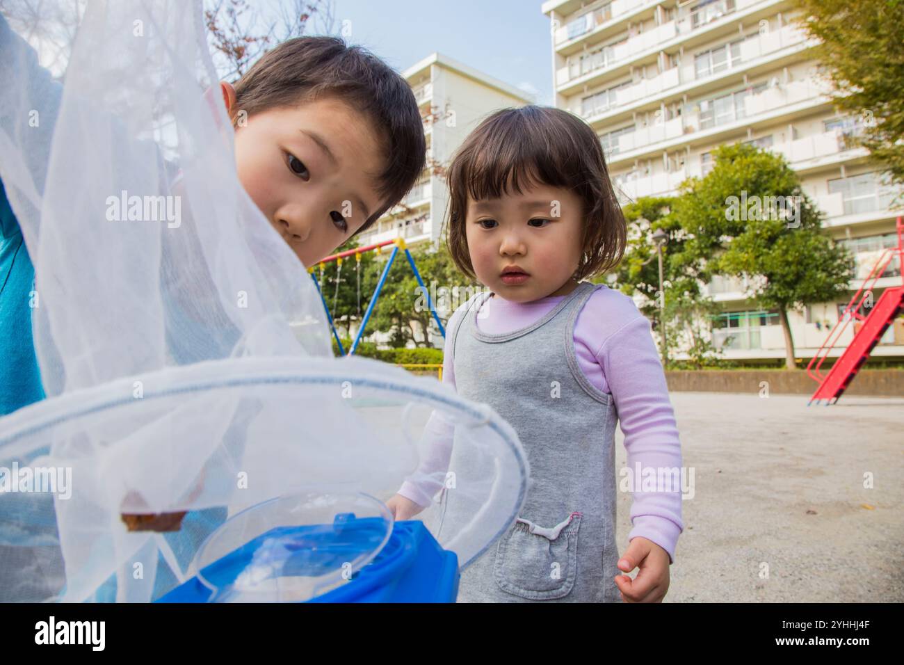 Brother and sister looking through insect net in park in apartment ...