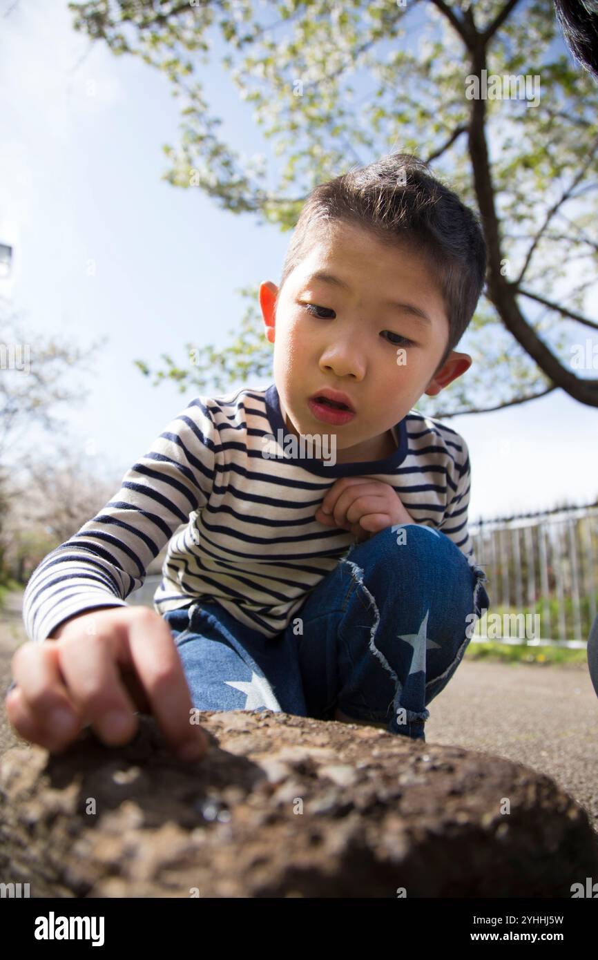 Child looking at insects hi-res stock photography and images - Alamy