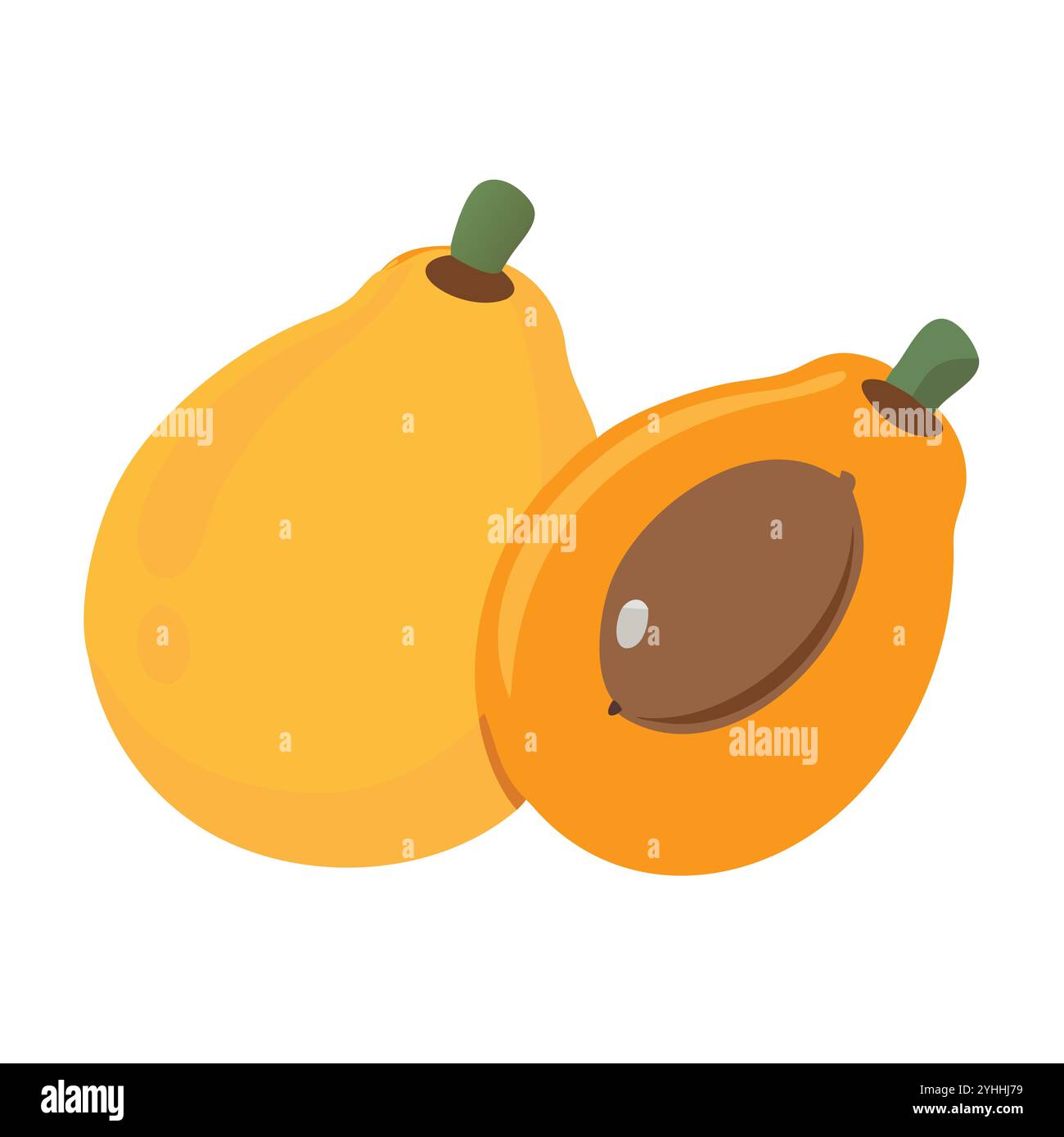simple vector illustration of a loquat, in a simple and clean style ...