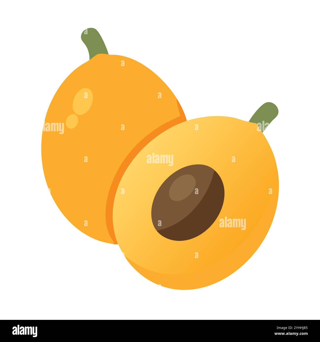 simple vector illustration of a loquat, in a simple and clean style ...
