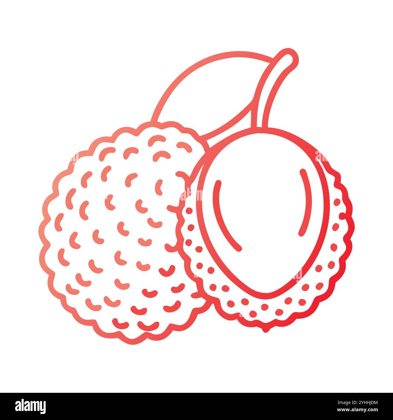simple vector illustration of a lychee, in a simple and clean style ...
