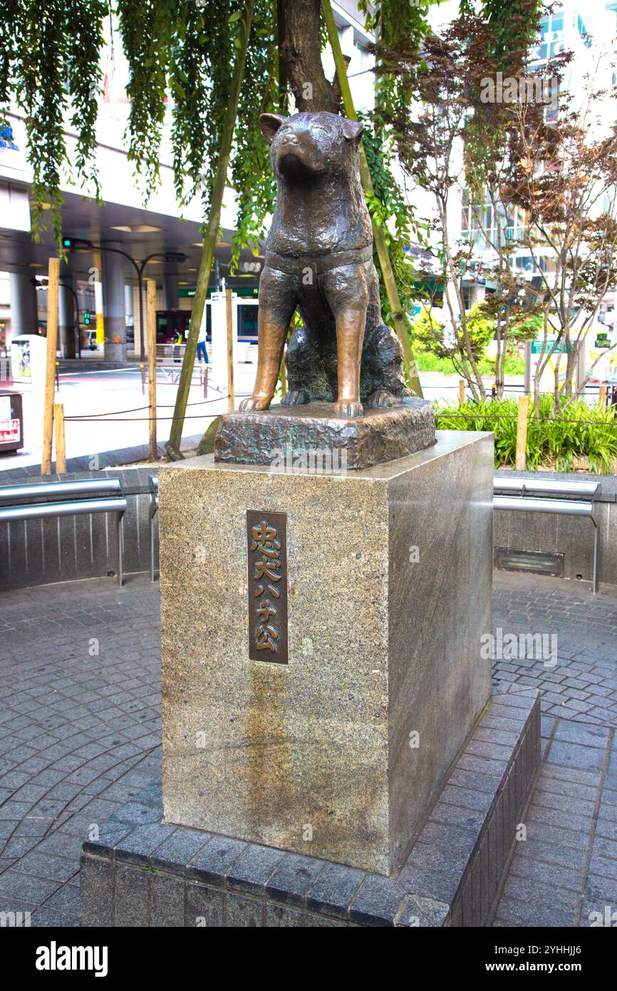 Statue of loyal dog Hachiko Stock Photo - Alamy